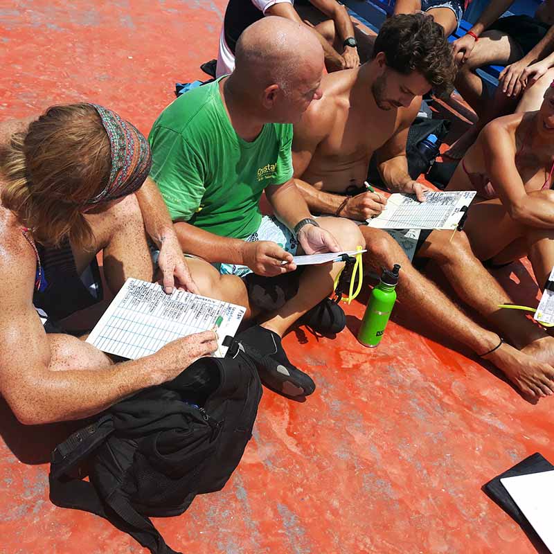 Reef Check Surveys - Eco Koh Tao - Be an Eco diver