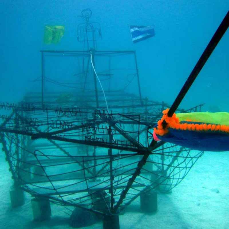 Artificial Reefs - Eco Koh Tao - Building underwater ecosystems