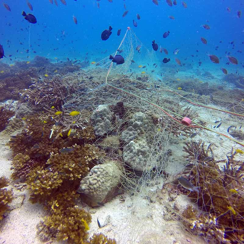 Net Removal - Eco Koh Tao - Protecting our ocean