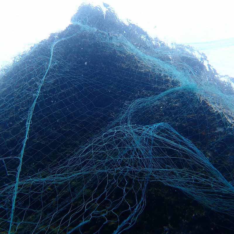 Net Removal - Eco Koh Tao - Protecting our ocean