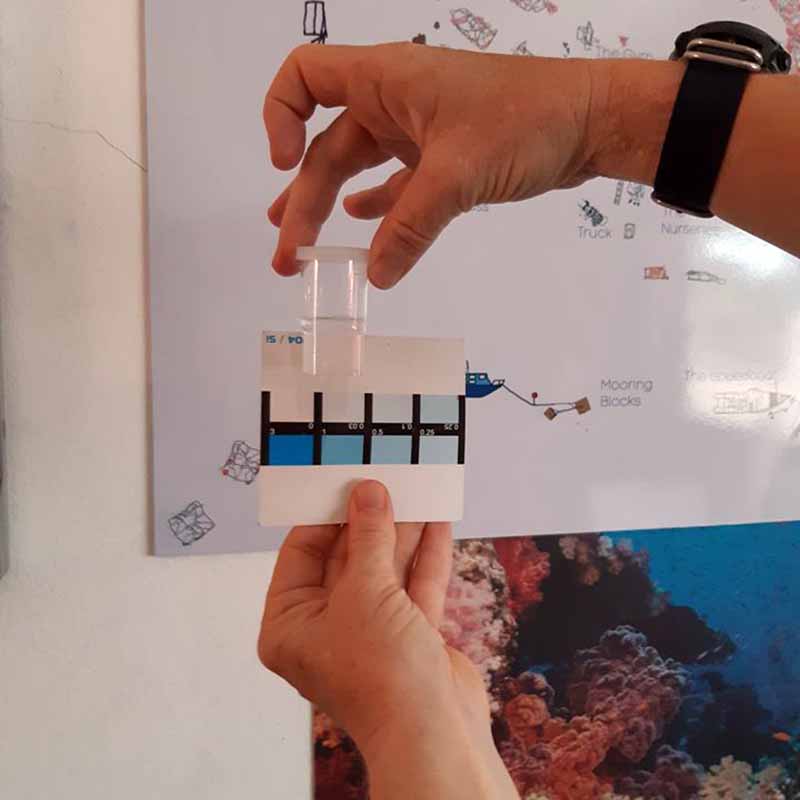 Water Testing - Eco Koh Tao - Quality testing for healthy coral reefs