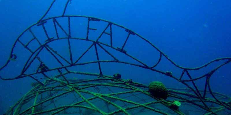 BioRock - Eco Koh Tao - Powering corals with electricity