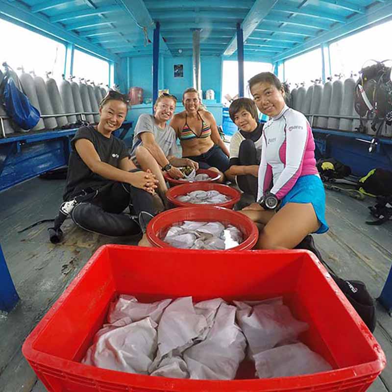 Giant Clam Nurseries - Eco Koh Tao - Repopulating our reefs